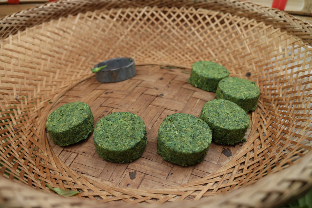 Guzhu Zi Sun - A Green Tea with A Thousand-Year History – Nannuoshan