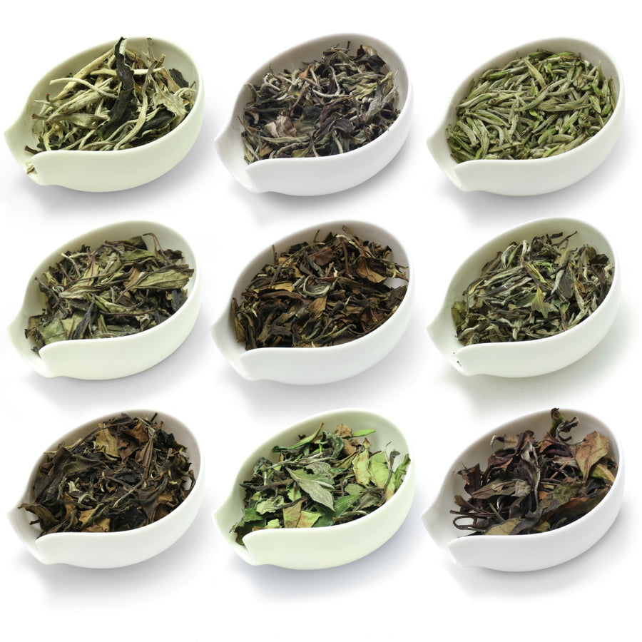 Chinese white tea from Nannuoshan Tea Shop.